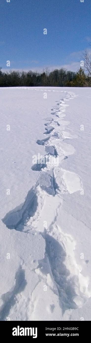Panoramic vertical photo of the footsteps on deep snow for a winter ...