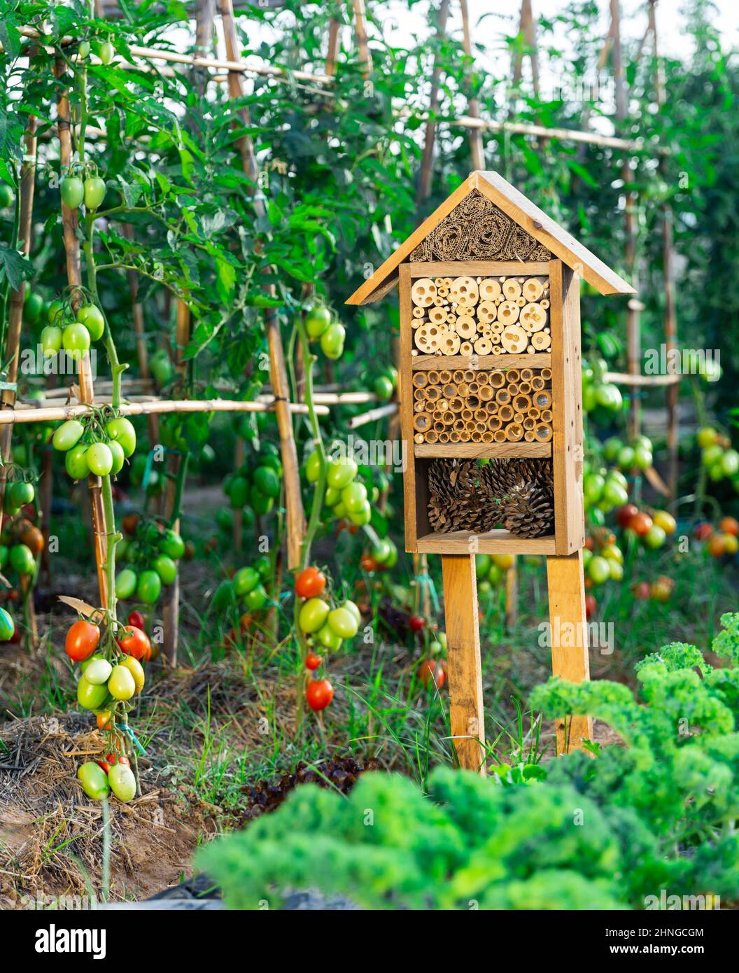Insect hotel in kitchen garden Stock Photo - Alamy