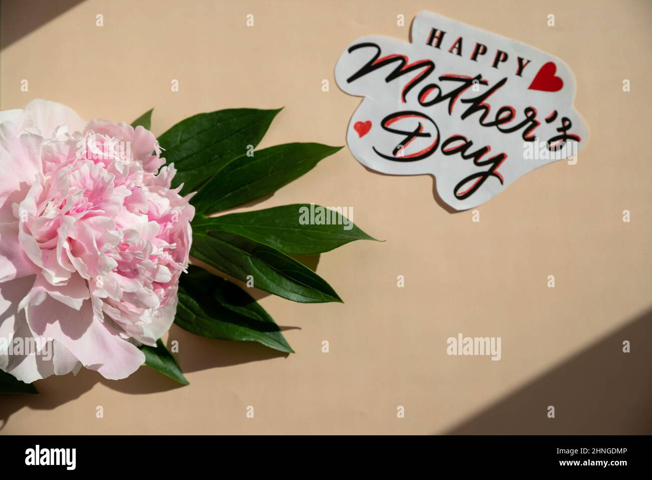 happy mother's day text and pink peonies on beige background, top view ...