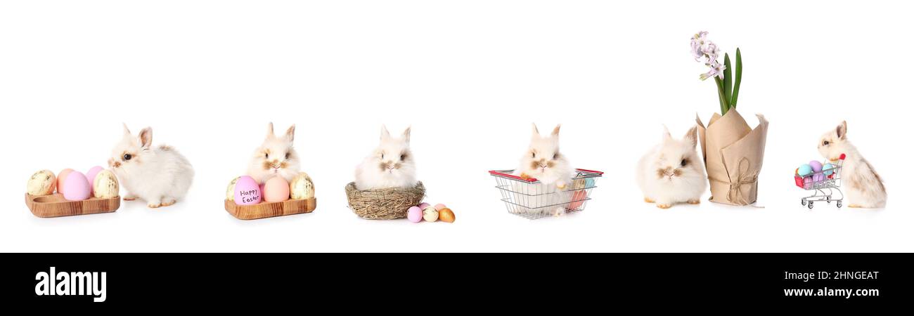 Cute easter bunny set Cut Out Stock Images & Pictures - Alamy