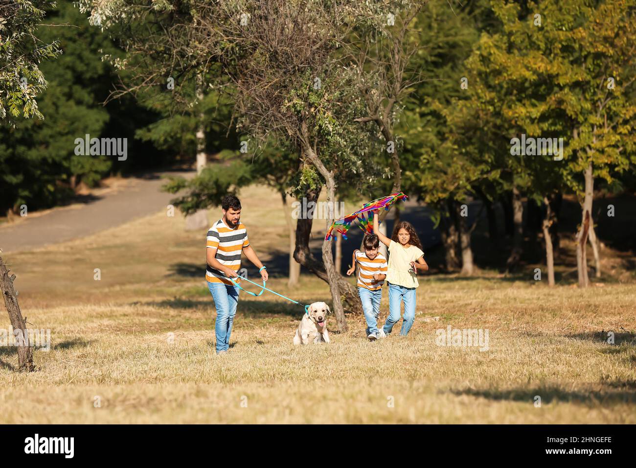 Happy father with his little children and cute dog flying kite in park ...