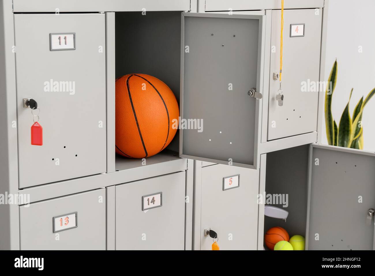 Locker with sport equipment in change-room Stock Photo - Alamy