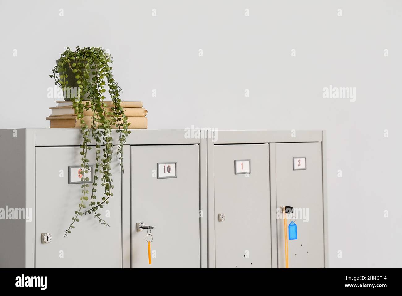 Locker with books and houseplant near light wall Stock Photo - Alamy