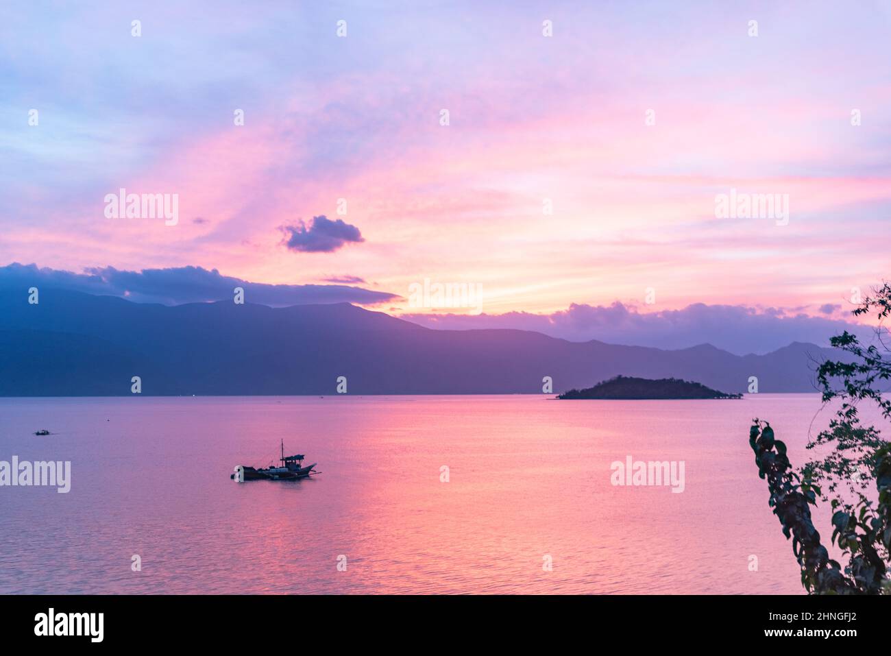 Mangroves sea eagle hi-res stock photography and images - Alamy