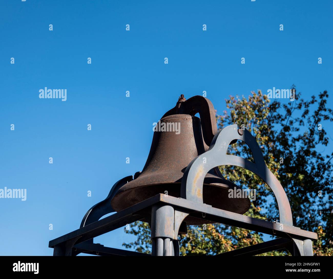 Blue bell tree hi-res stock photography and images - Alamy