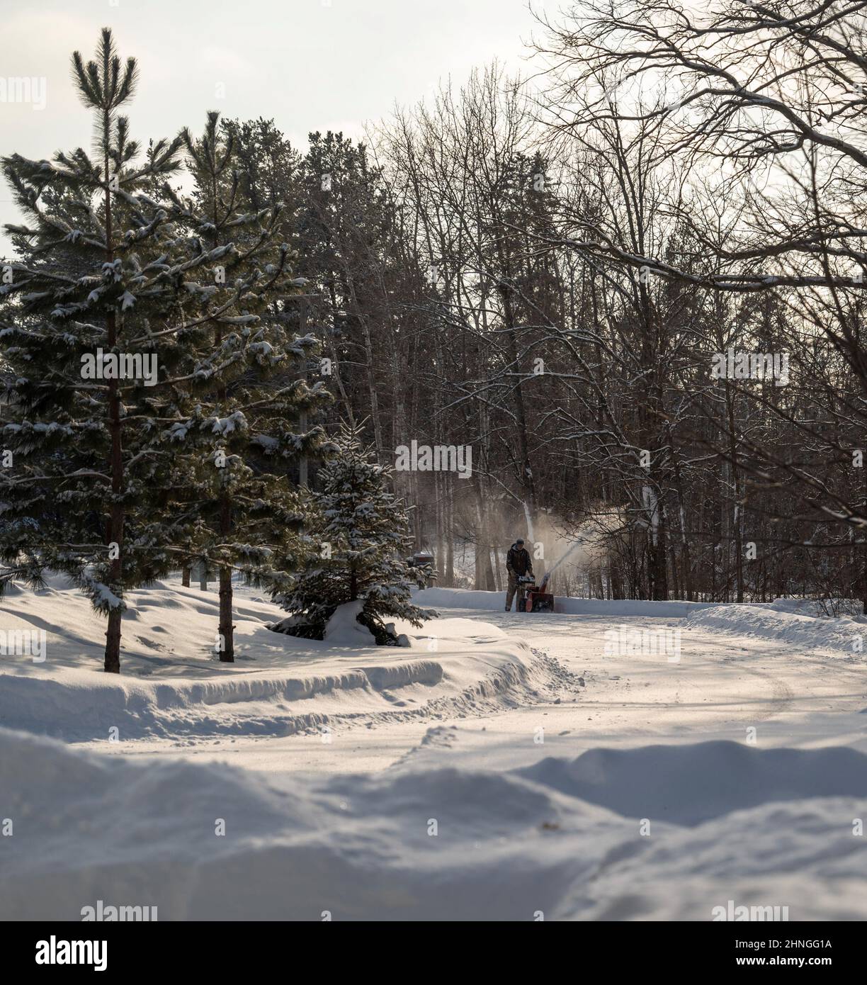 Winter scene with snow on street and trees and a man using a snowblower ...