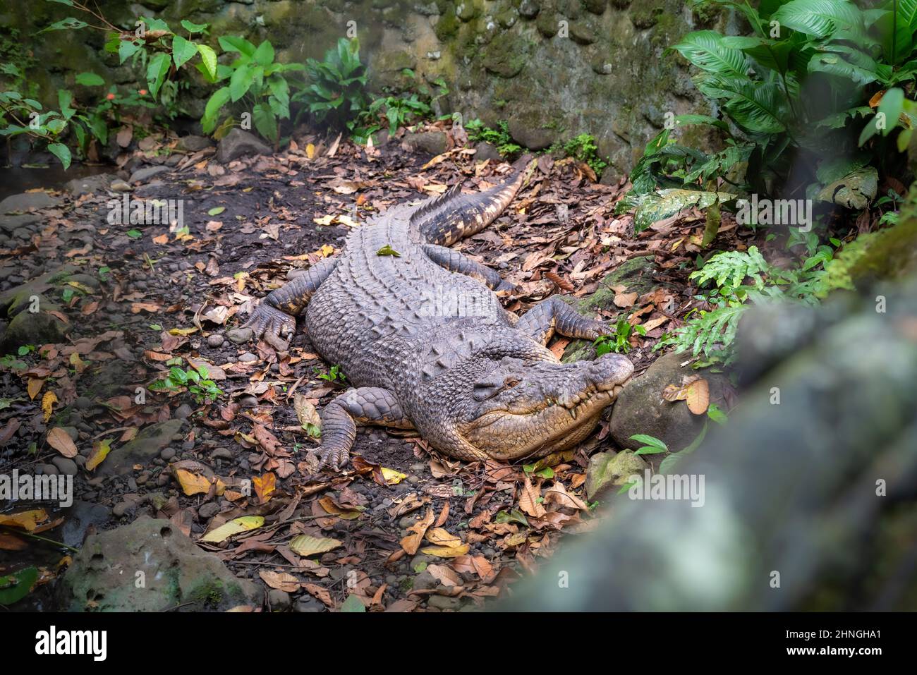 Philippines the mindanao hi-res stock photography and images - Alamy