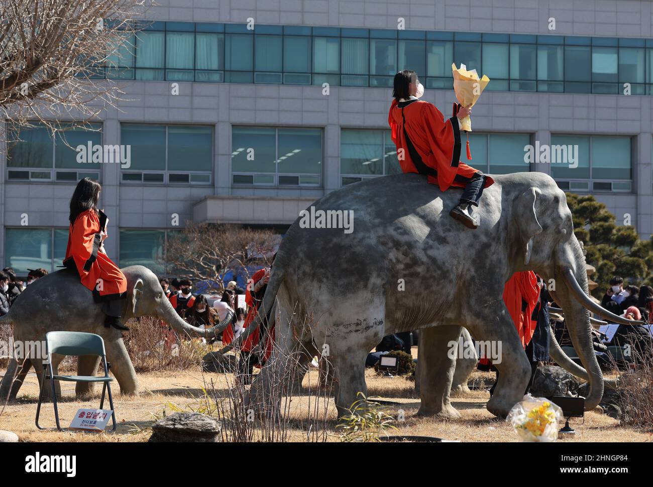 17th Feb, 2022. College graduation ceremony Graduates riding elephant ...