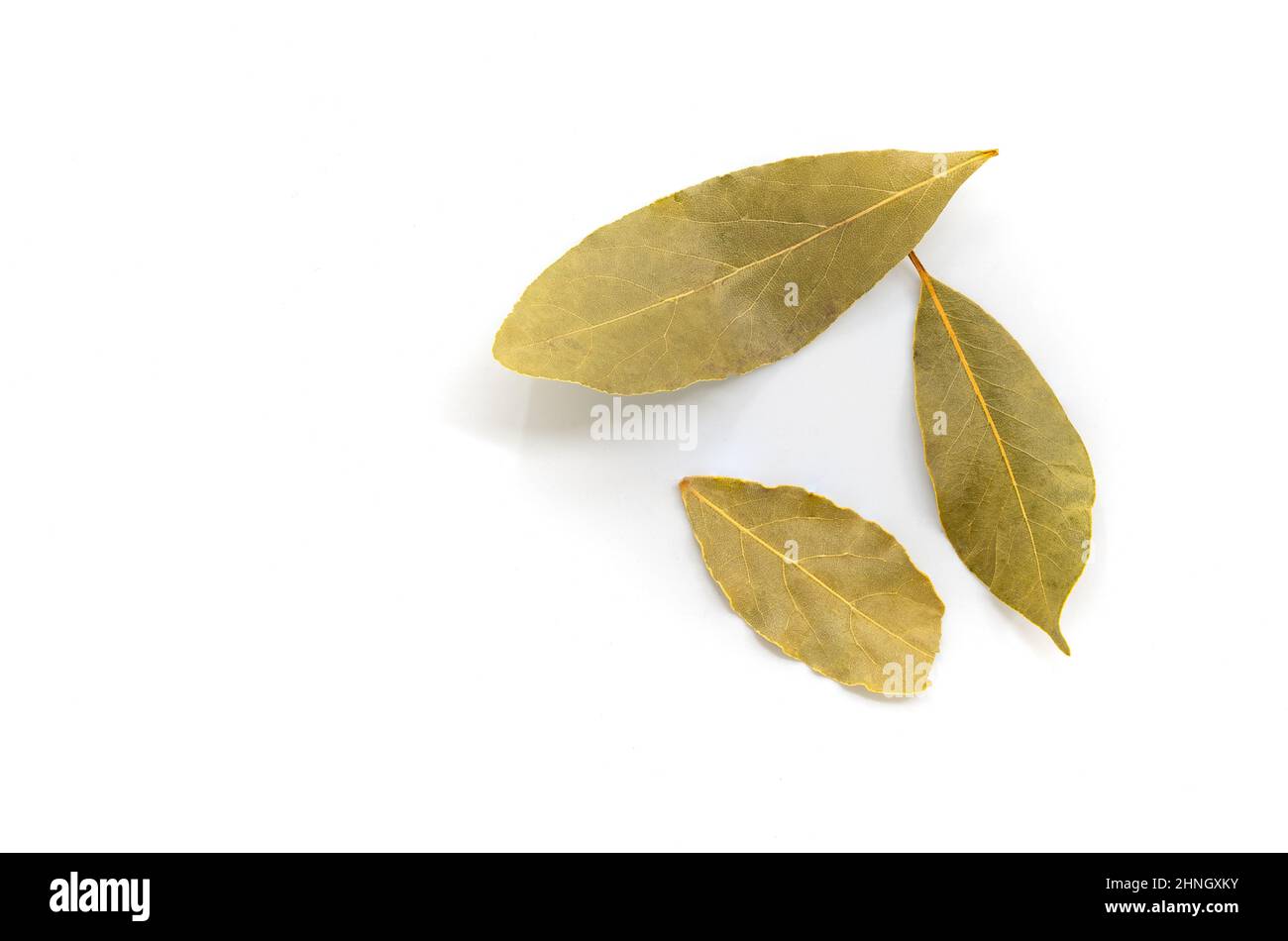 Top view image of organic Bay leaves on white background, flat lay ...