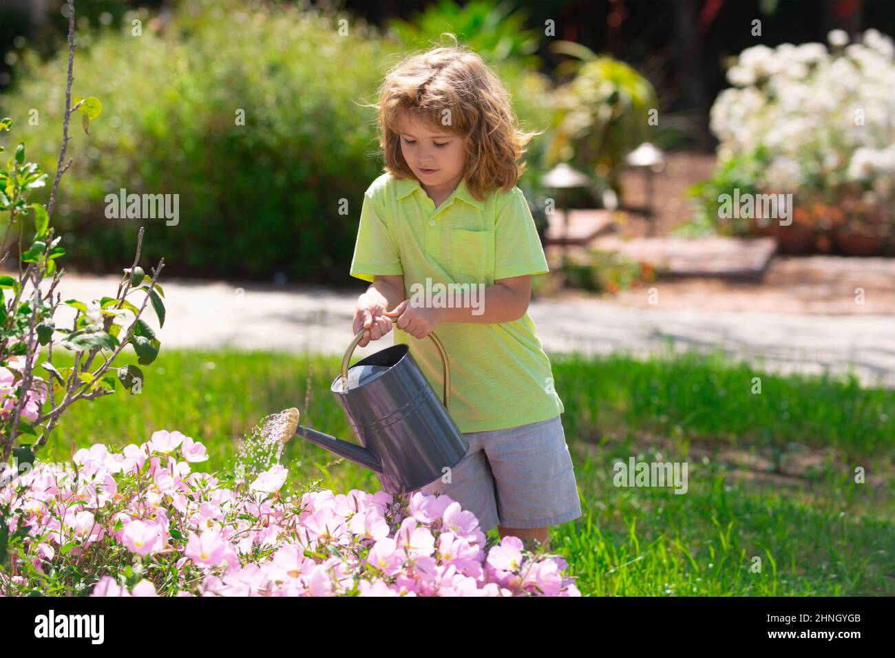 Child pouring water on the trees. Kid helps to care for the plants in ...