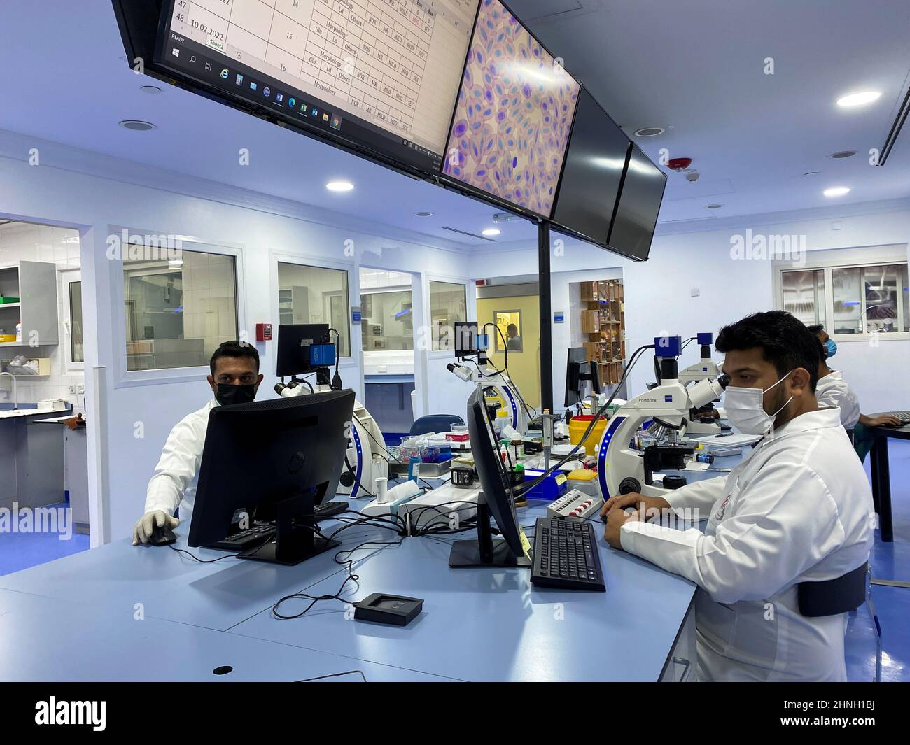 Falcon hospital doha hi-res stock photography and images - Alamy