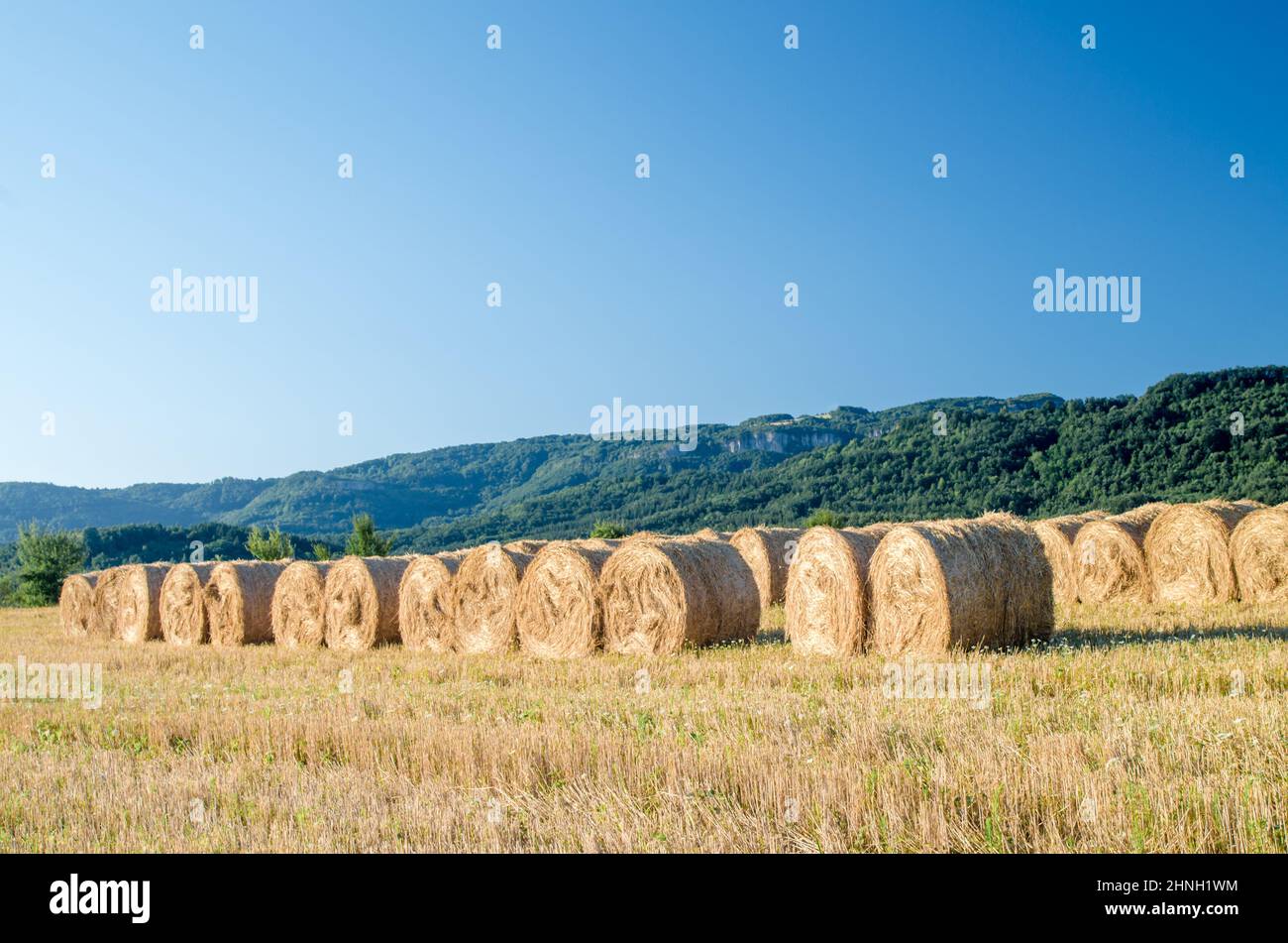 Hay bale texture hi-res stock photography and images - Alamy
