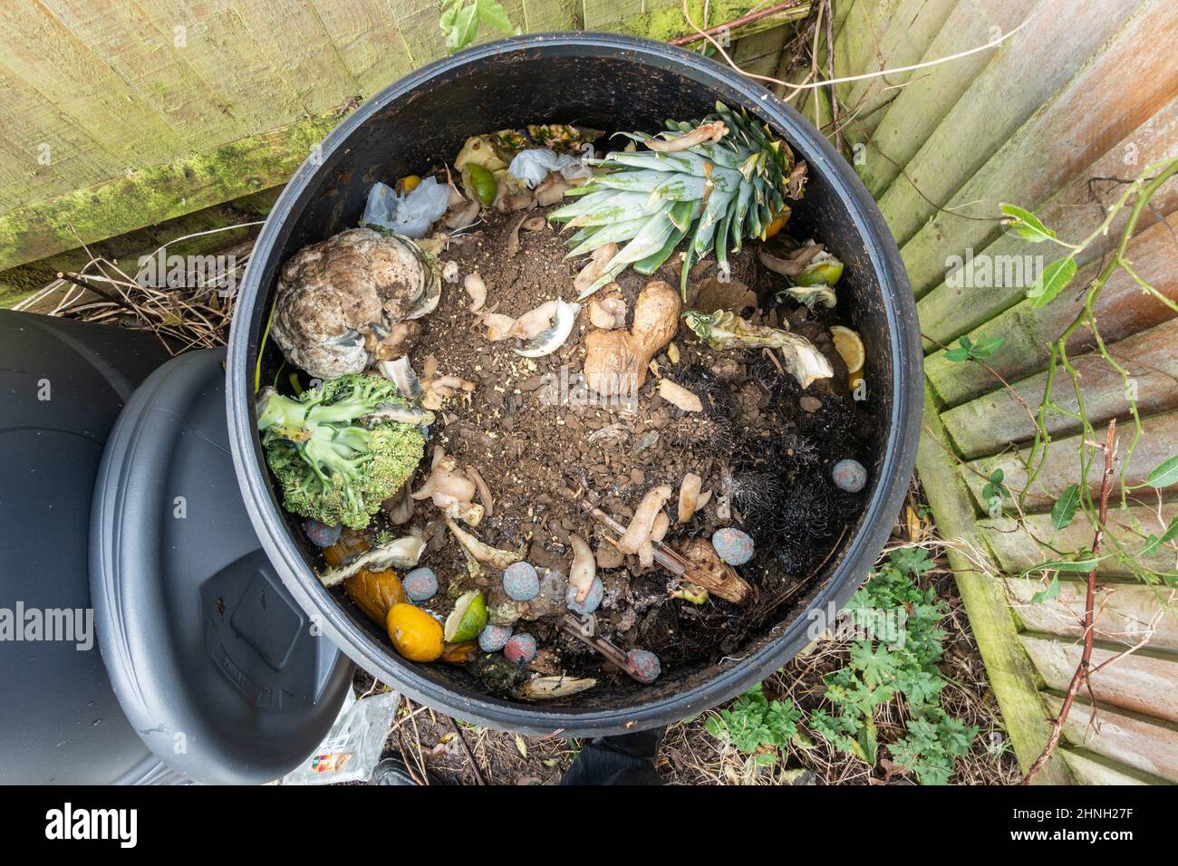 Close up view of. the contents of a black, plastic compost bin in the ...