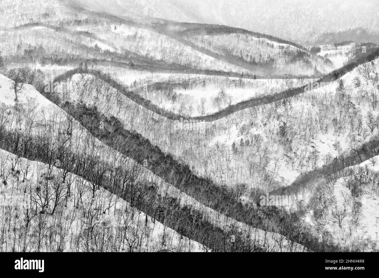 Japan winter landscape, hill with trees and snow. Rausu is mountain ...