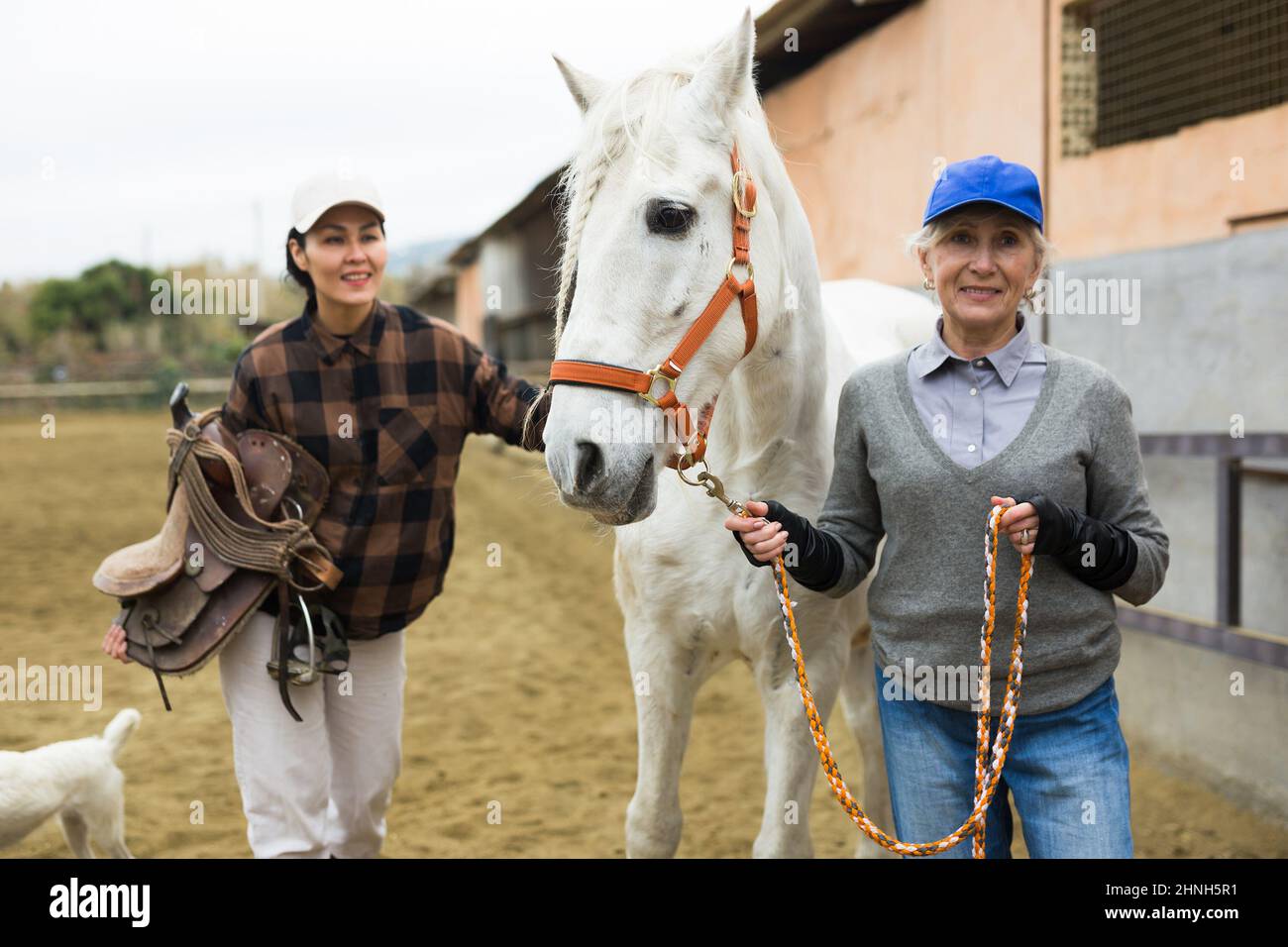 Women ranchers preparing white horse for ride Stock Photo - Alamy