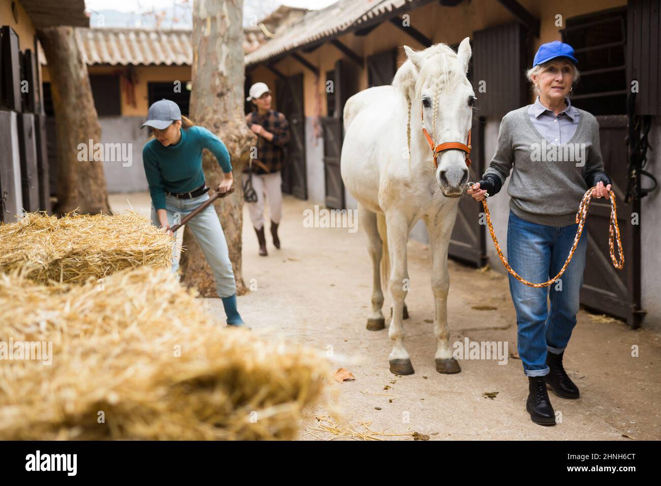 Women horse breeders working in ranch Stock Photo - Alamy