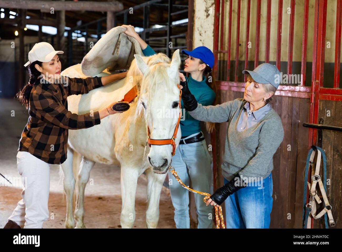 American barn racehorse hi-res stock photography and images - Alamy