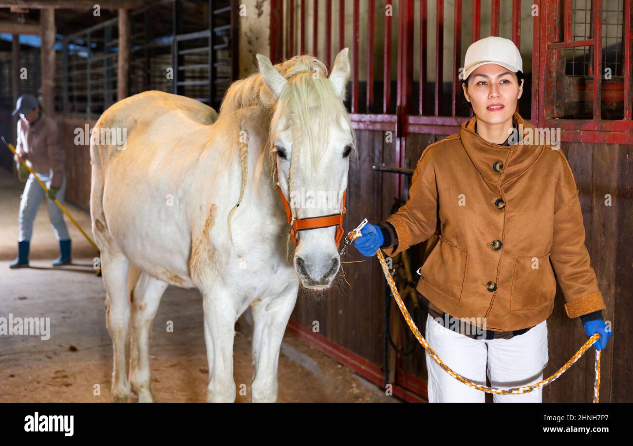 Asian female stable worker leading horse by bridle in barn Stock Photo ...