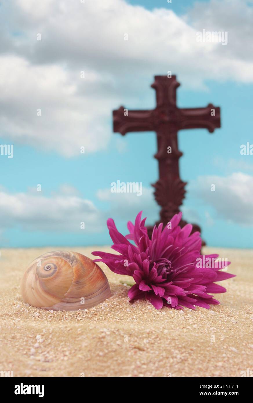 Sea Shells With Cross on Sand, Shallow DOF Focus on Shell Stock Photo ...