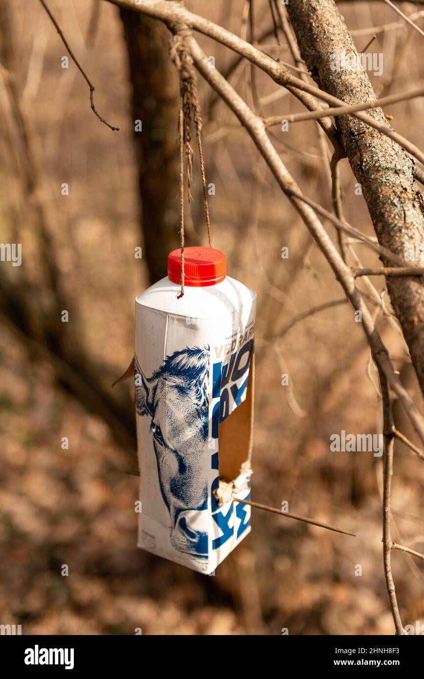 Milk carton craft hi-res stock photography and images - Alamy