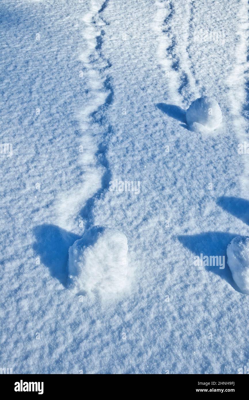 soft snow surface patterns in winter on hillside Stock Photo - Alamy
