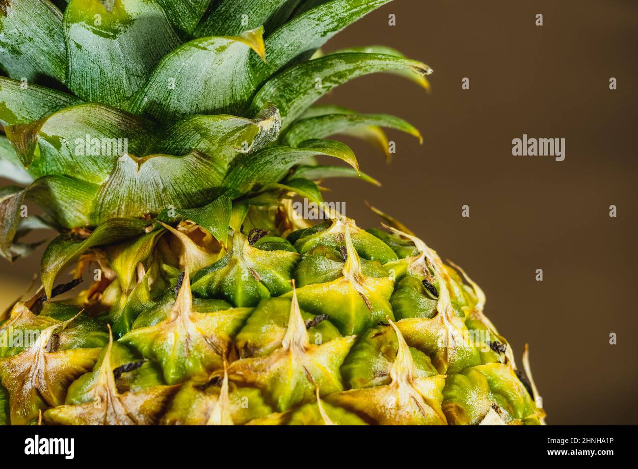 The pineapple structure hi-res stock photography and images - Alamy