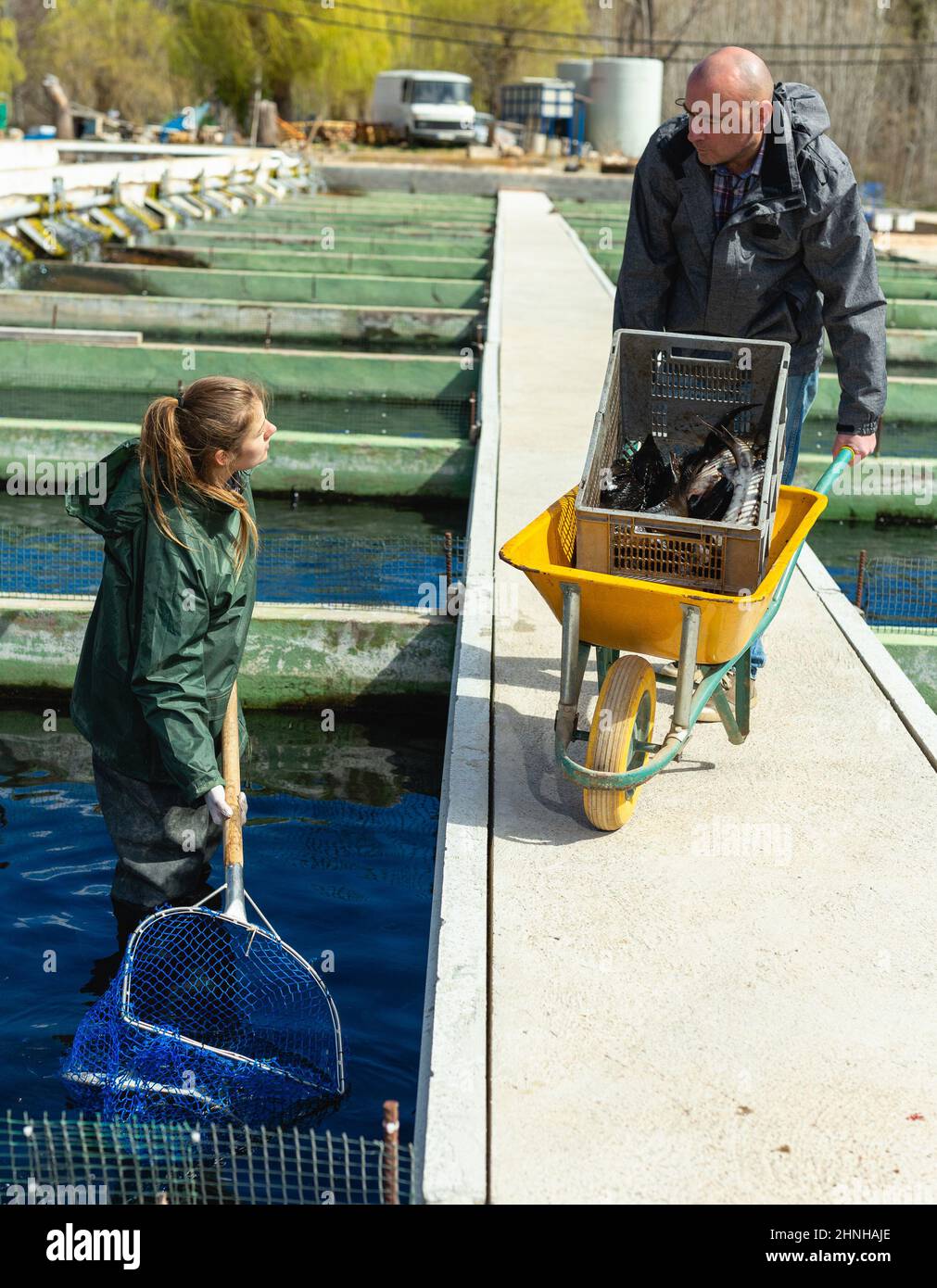 Hatchery workers hi-res stock photography and images - Alamy