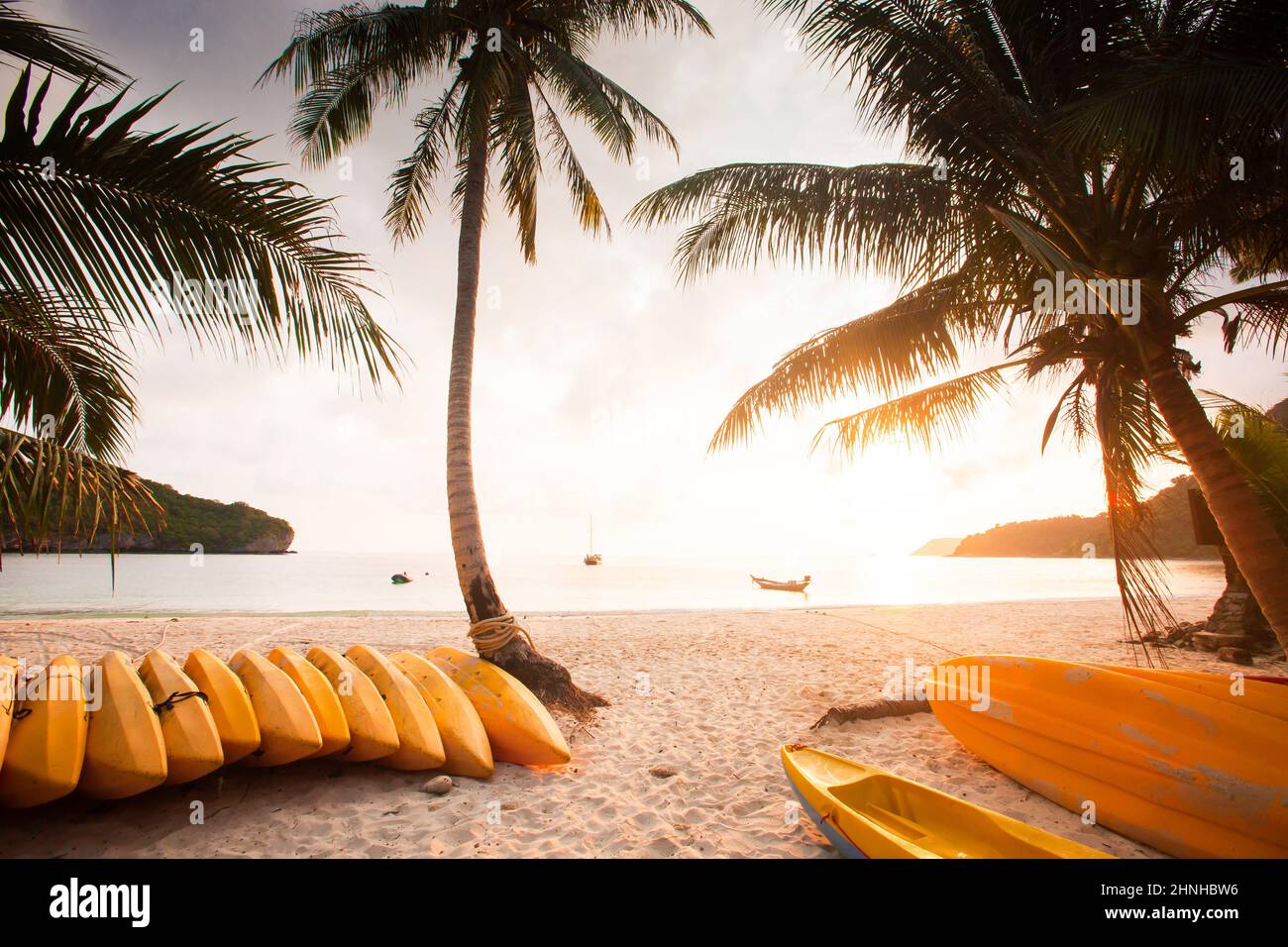 Yellow Sea Kayaks on the sand beach with coconut palm trees at sunset ...
