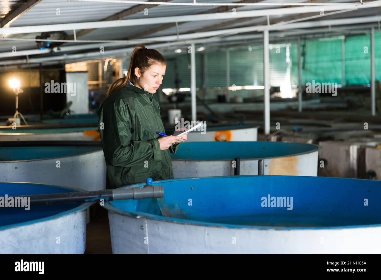 Female worker of trout farm watching fish and writing Stock Photo - Alamy
