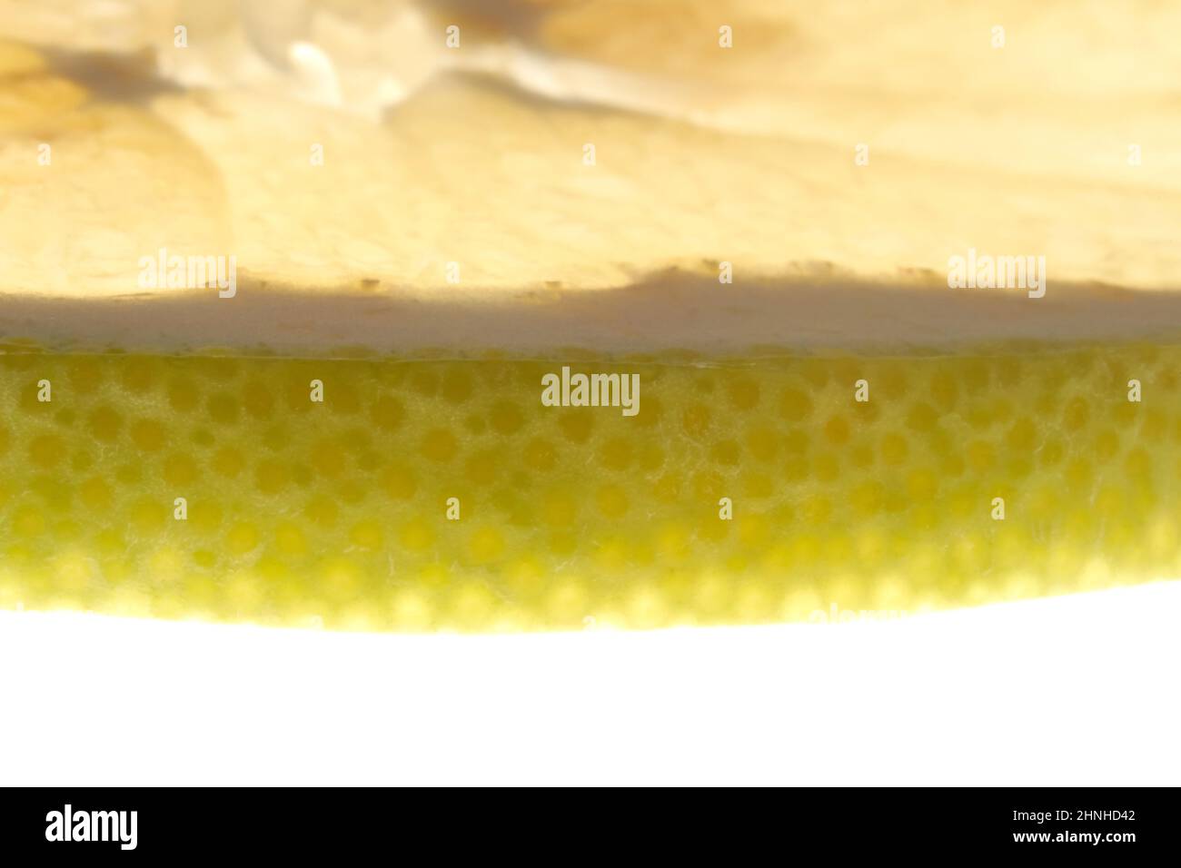 Pulp and rind hi-res stock photography and images - Alamy