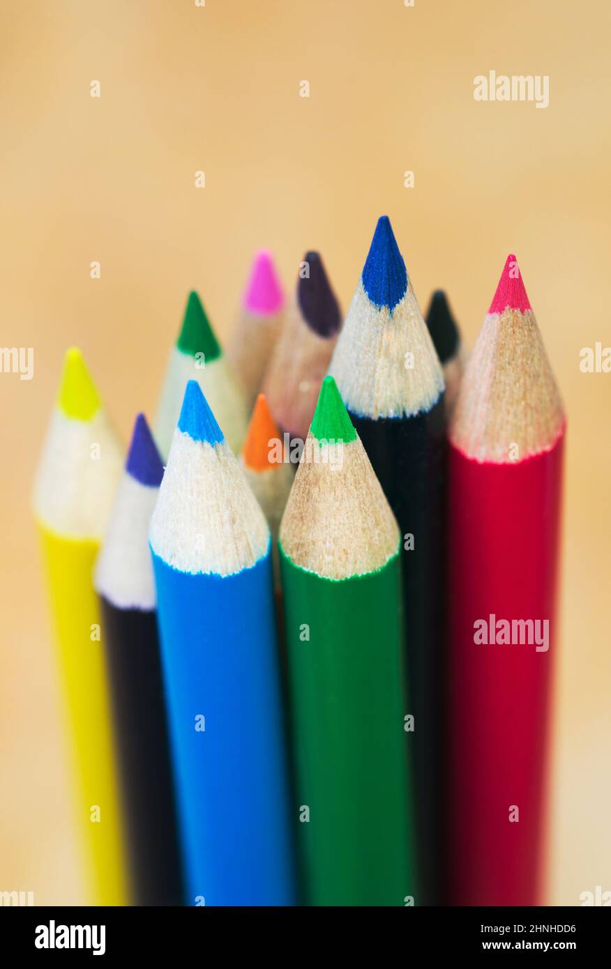 multi colored pencils Stock Photo - Alamy