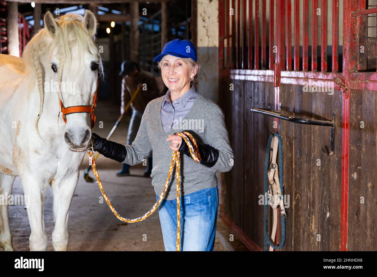 Elderly woman leading a white horse out of stable Stock Photo - Alamy