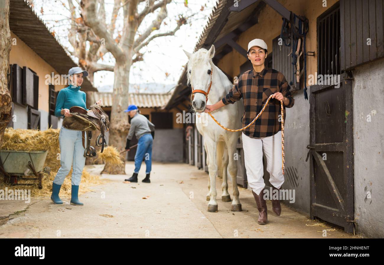 Stable courtyard - horse walking and tidying up on day Stock Photo - Alamy