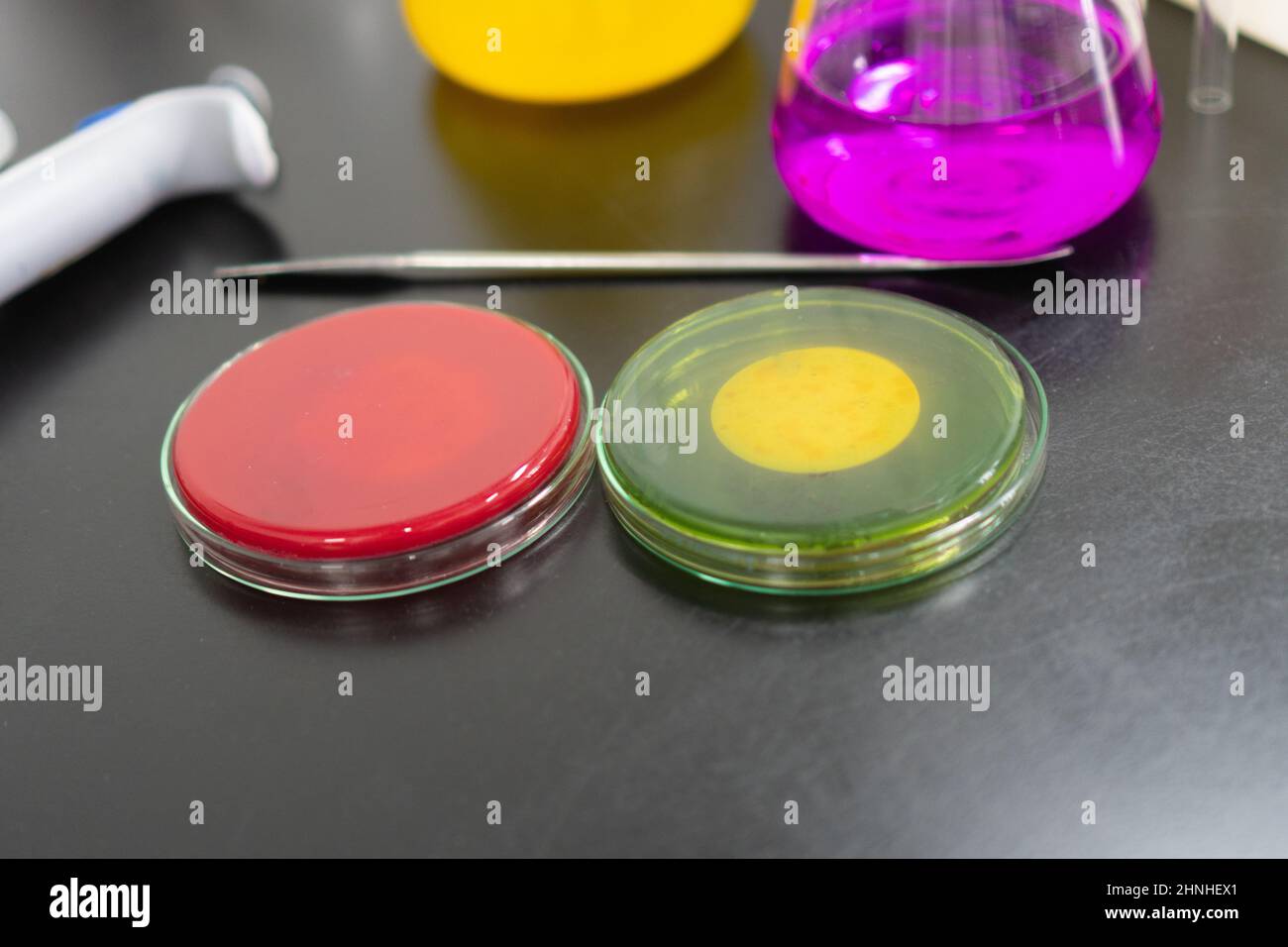 View of laboratory materials for chemical testing Stock Photo - Alamy