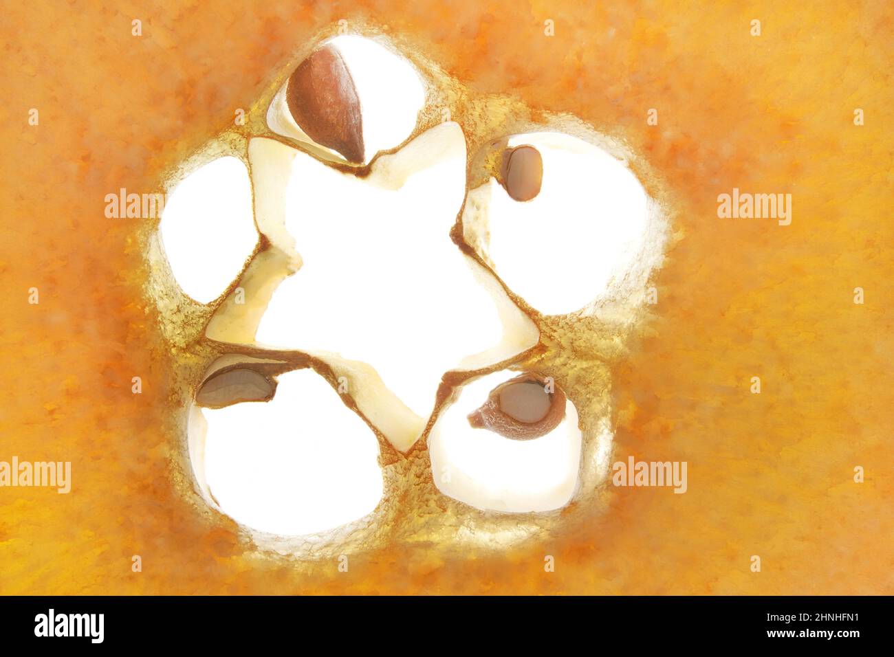 Macro photography of orange quince. Cut in half inside the longitudinal ...