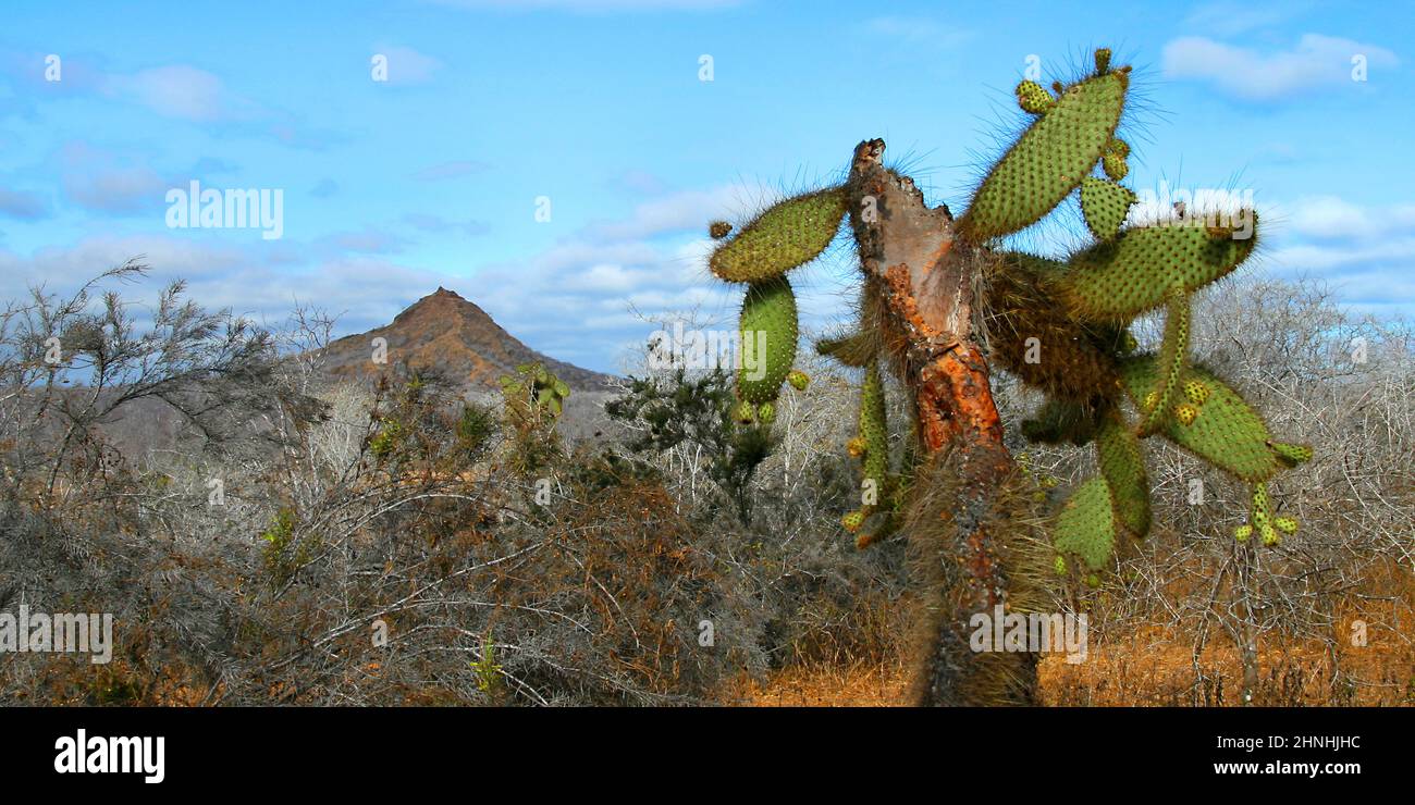 Galápagos Islands Landscape, Galápagos National Park, UNESCO World ...