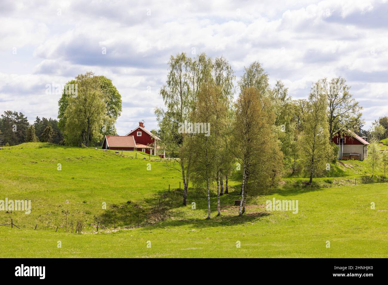 Birch grove house hi-res stock photography and images - Alamy