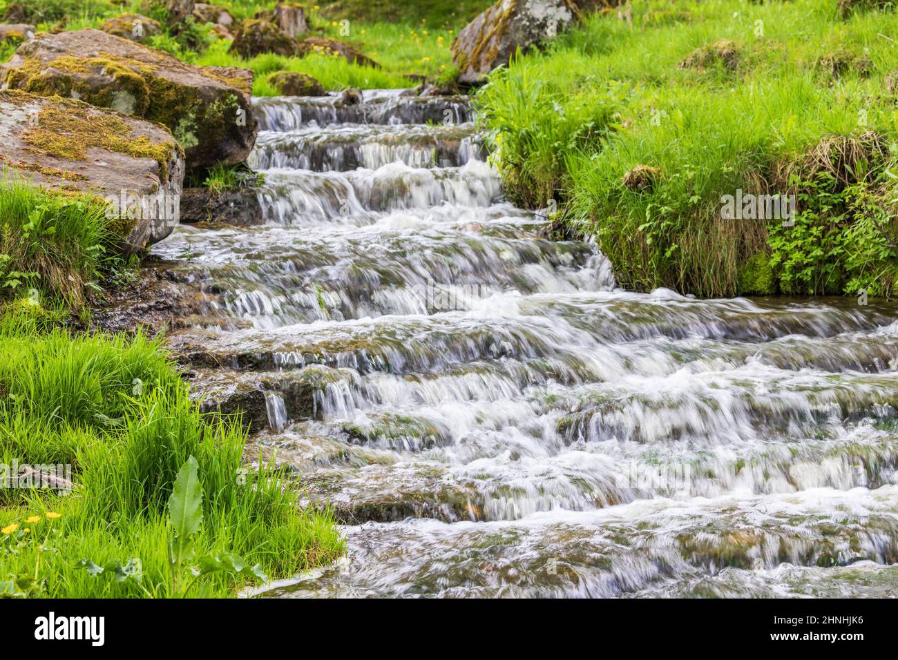 White spring flowing plants hi-res stock photography and images - Alamy