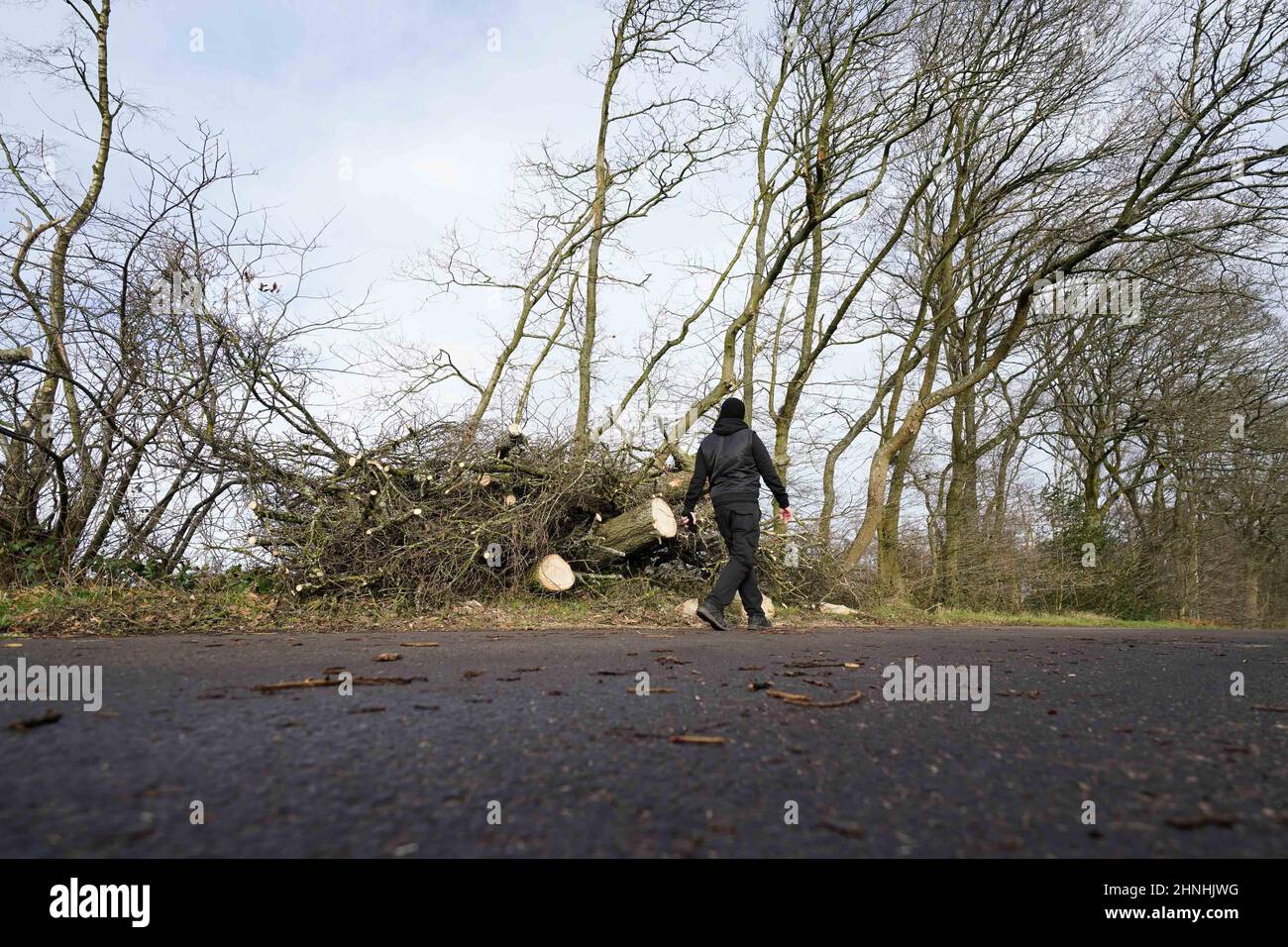 Fallen trees are seen on a road in Little Hay, north Birmingham, as ...