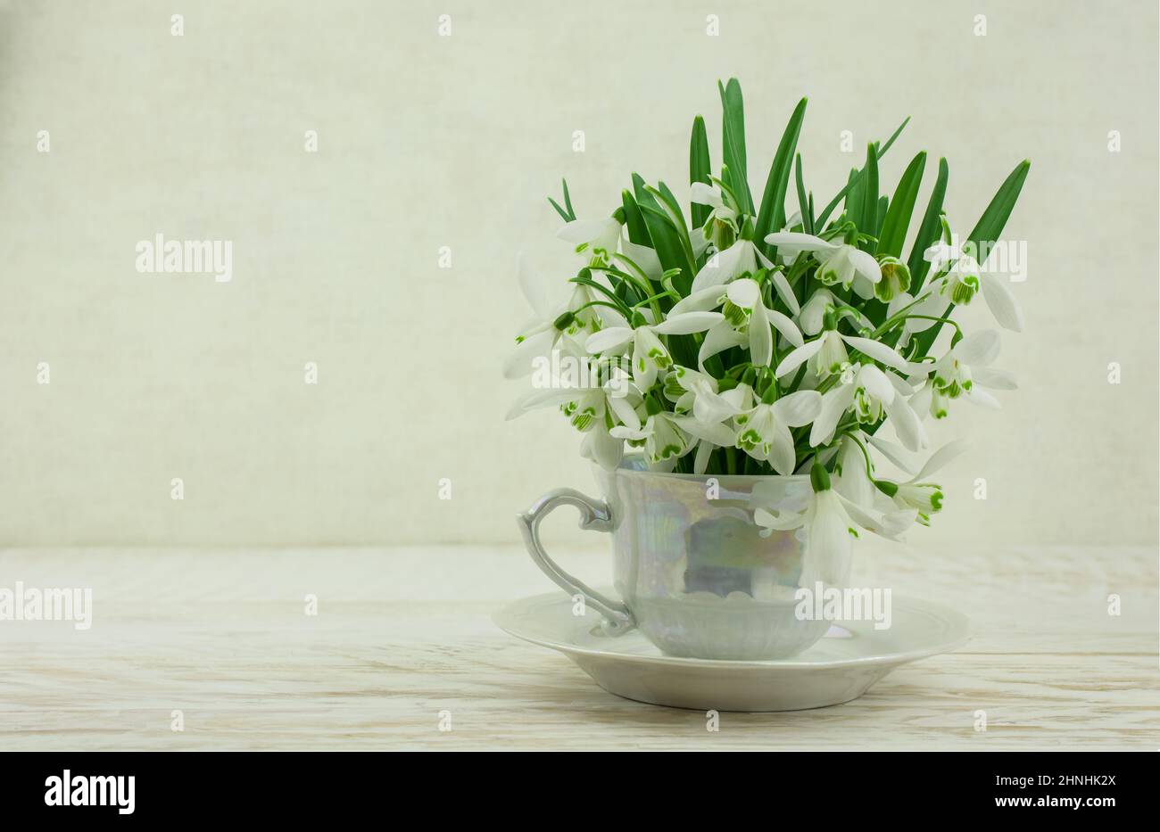 beautiful early spring flowers Stock Photo - Alamy