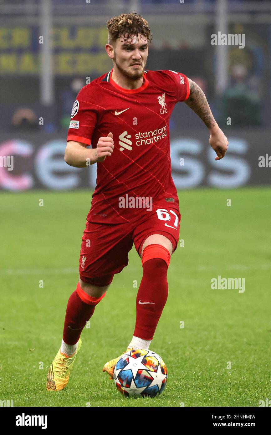 Scott harvey hi-res stock photography and images - Alamy