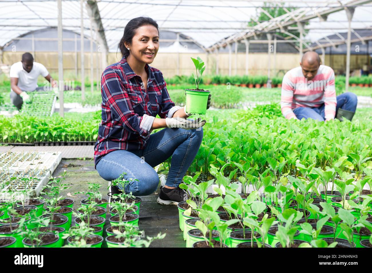 Female worker tending plants growing hi-res stock photography and ...