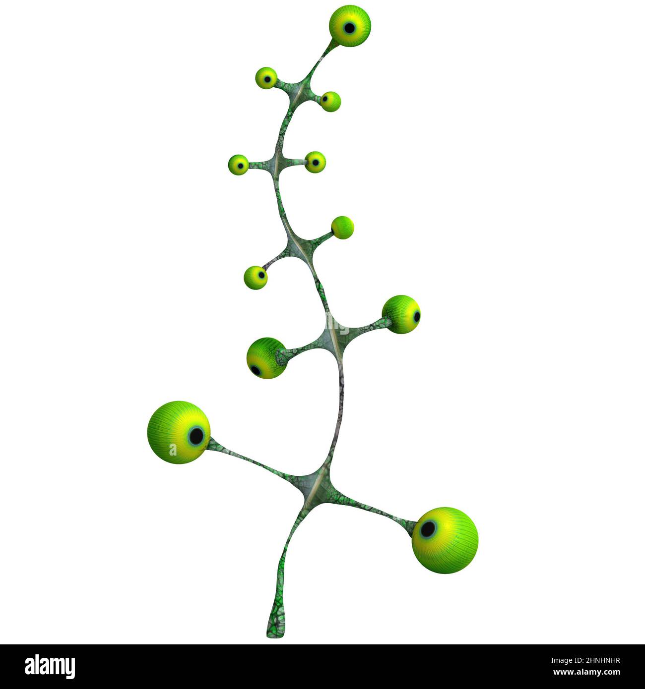 3d-illustration of an isolated fantasy eyball creature Stock Photo - Alamy