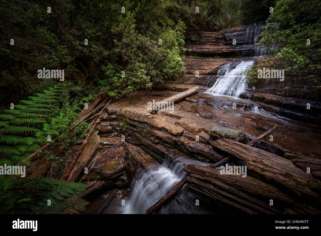 Lady Barron Falls in Mount Field National Park, Tasmania Stock Photo ...
