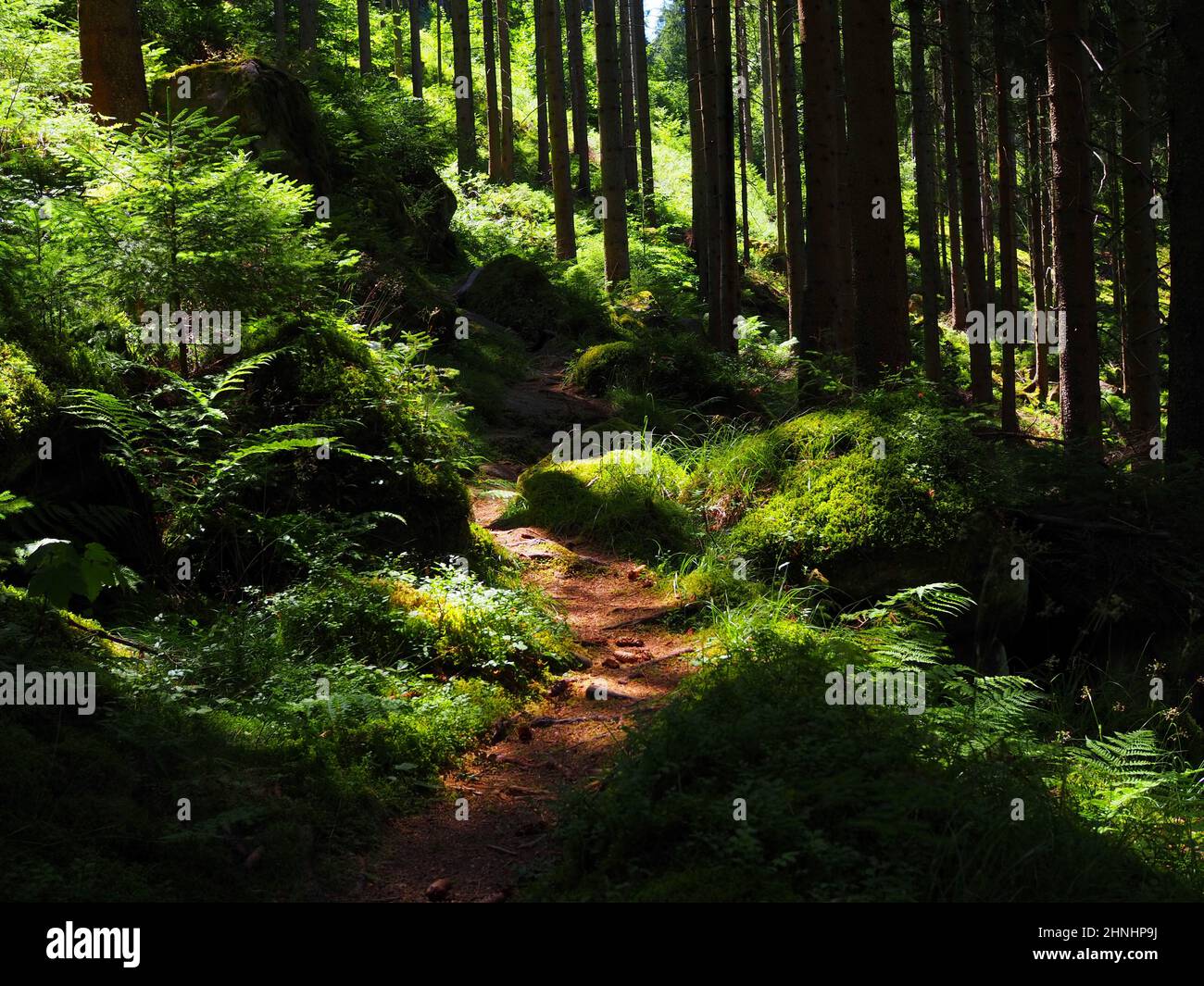 Wandering trail hi-res stock photography and images - Alamy