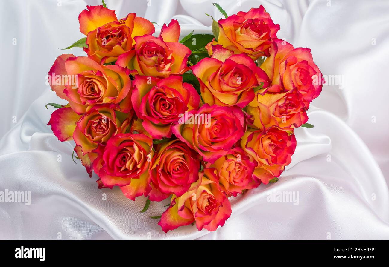 Colorfull roses hi-res stock photography and images - Alamy