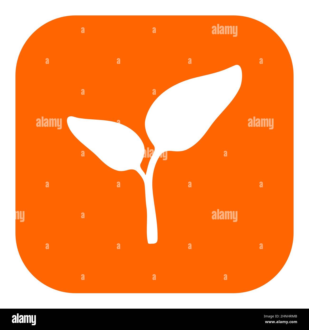 Plant and app icon Stock Photo - Alamy