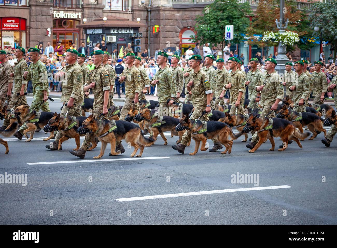 Ukraine, Kiev - August 18, 2020: Border guards with shepherd dogs. The ...