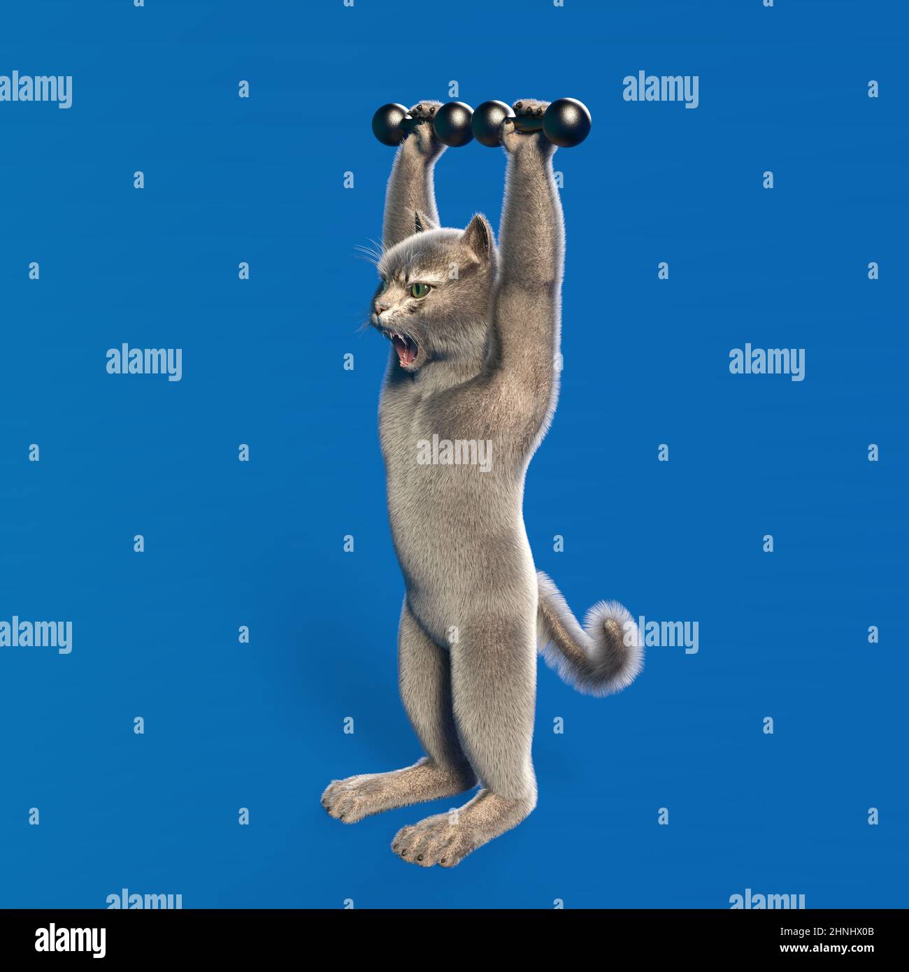3D-illustration of a cute and funny cartoon cat making a workout Stock ...