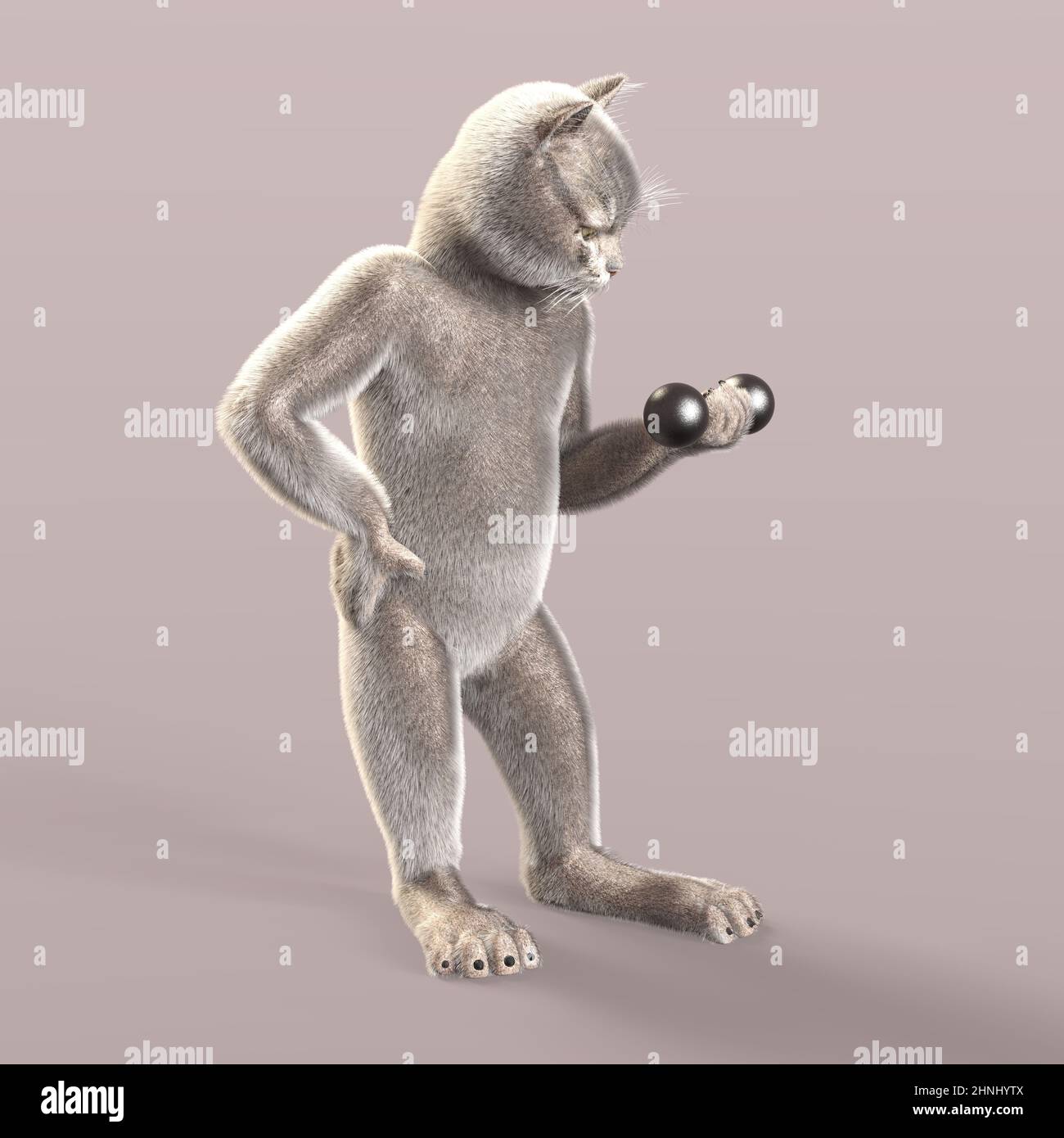 3D-illustration of a cute and funny cartoon cat making a workout Stock ...